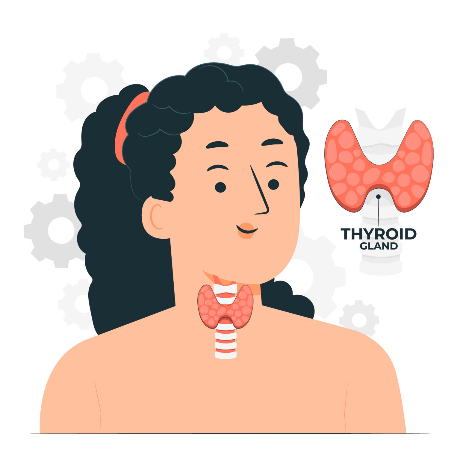 Thyroid Disorders: Hypothyroidism v/s Hyperthyroidism